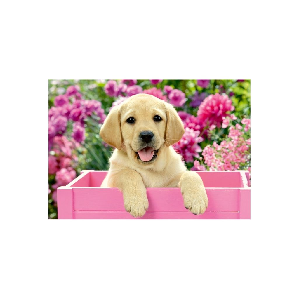 Puzzle Qenushët me gëzof - Hamleys