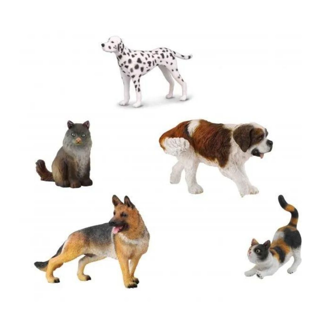 Set mace & qen - Hamleys